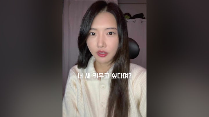 새 플러팅 Bird Rizz - 네이버 TV