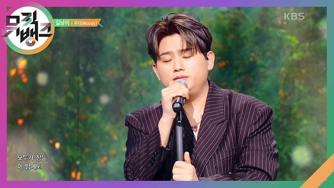 길냥이 - 우디 (Woody) | KBS 250221 방송 - 네이버 TV