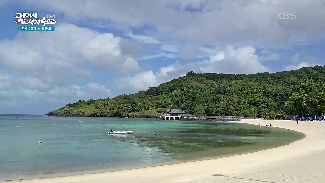 산호섬으로 이루어진 팔라우 ＂우리나라랑 시차가 없는 나라＂ | KBS 250225 방송 - 네이버 TV