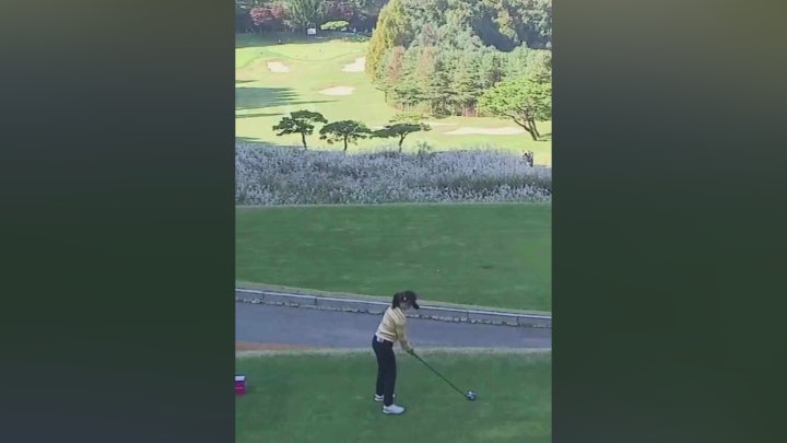 3R 11번홀 임진영 티샷 [덕신EPC · 서울경제 레이디스 클래식] - 네이버 TV