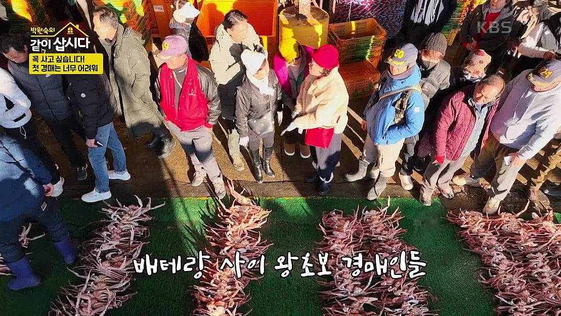 꼭 사고 싶습니다! 첫 경매는 너무 어려워 | KBS 250313 방송 - 네이버 TV