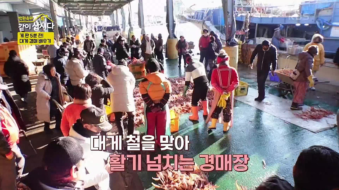 게 판 5분 전! 대게 경매 배우기 | KBS 250313 방송 - 네이버 TV