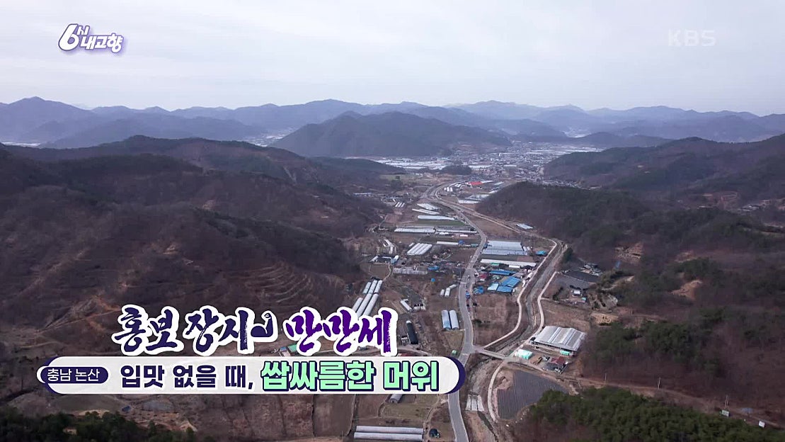 [홍보 장사 만만세] 봄에도 참 맛있다! 참외 | KBS 250318 방송 - 네이버 TV