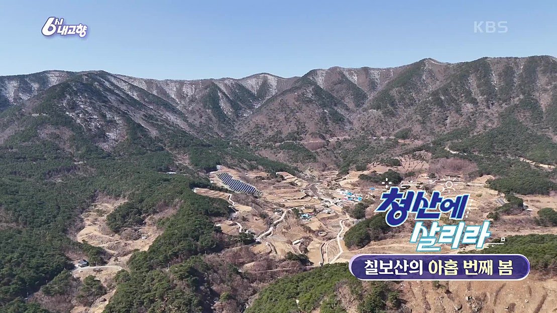 [청산에 살리라] 칠보산의 아홉 번째 봄 | KBS 250320 방송 - 네이버 TV