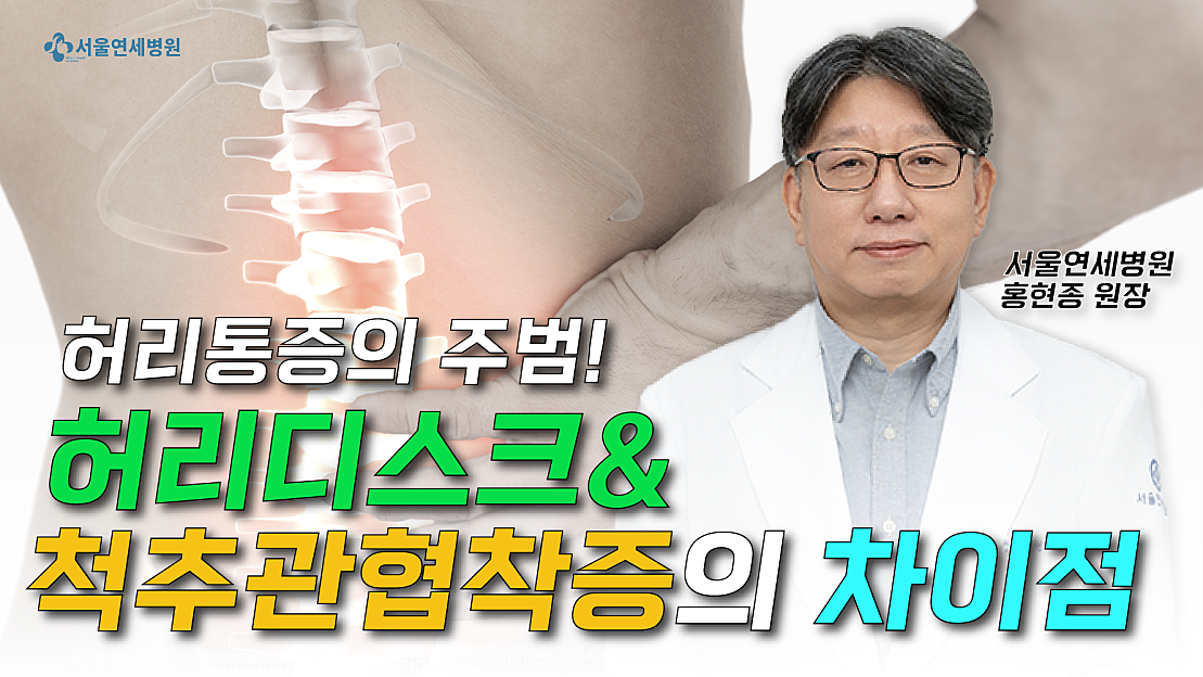 허리디스크와 척추관협착증 차이와 관리법 홍현종 서울연세병원 원장 네이버 Tv