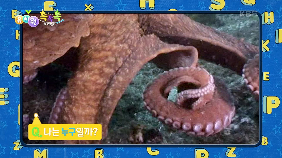 [톡톡톡 샘&벤틀리] 두 번째 놀이! ＜누구일까?＞ | KBS 250327 방송 - 네이버 TV