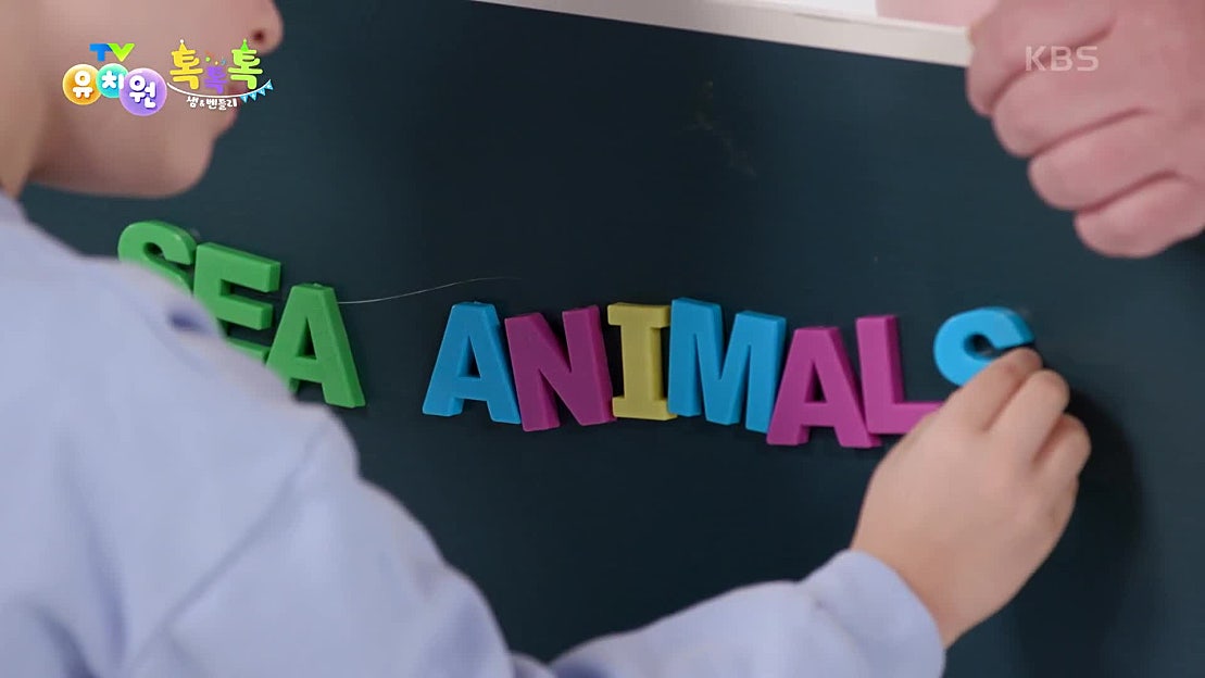 [톡톡톡 샘&벤틀리] 오늘의 힌트는 바다동물! | KBS 250327 방송 - 네이버 TV