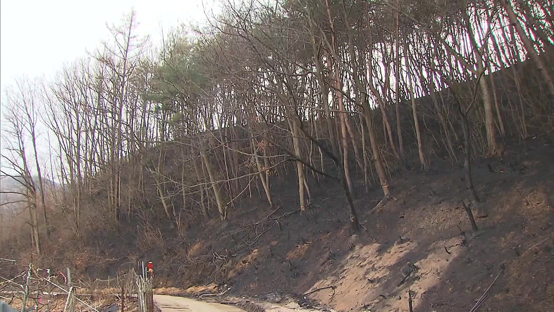 “하늘이 도왔다”…천금 같은 비 ‘1mm’ - 네이버 TV