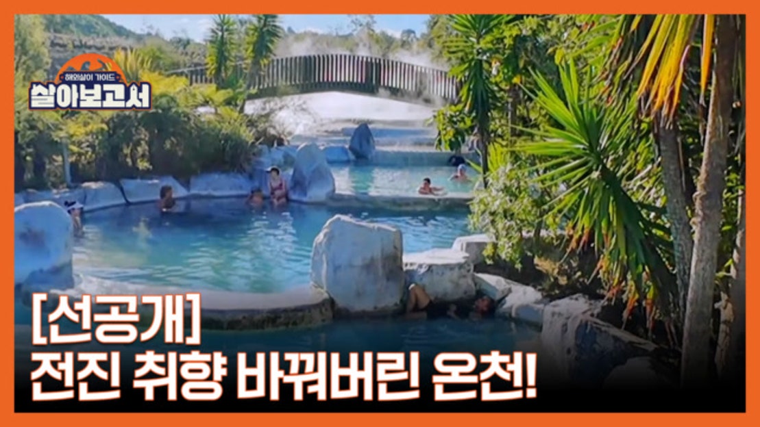 [선공개] 뉴질랜드 캠퍼들을 위한 꿀팁 코스 MBN 250409 방송 - 네이버 TV