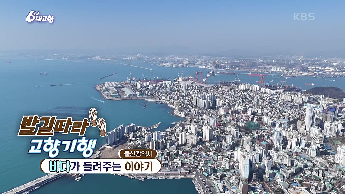 [발길따라 고향 기행] 바다가 들려주는 이야기 | KBS 250409 방송 - 네이버 TV