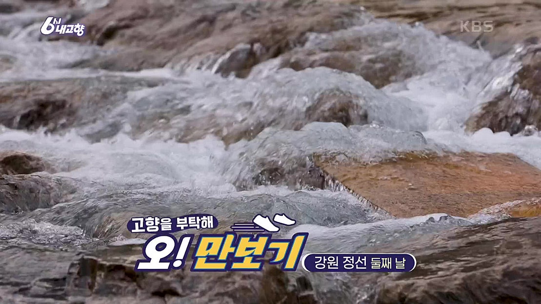 [고향을 부탁해 오!만보기] 강원 정선 [둘째 날] | KBS 250409 방송 - 네이버 TV