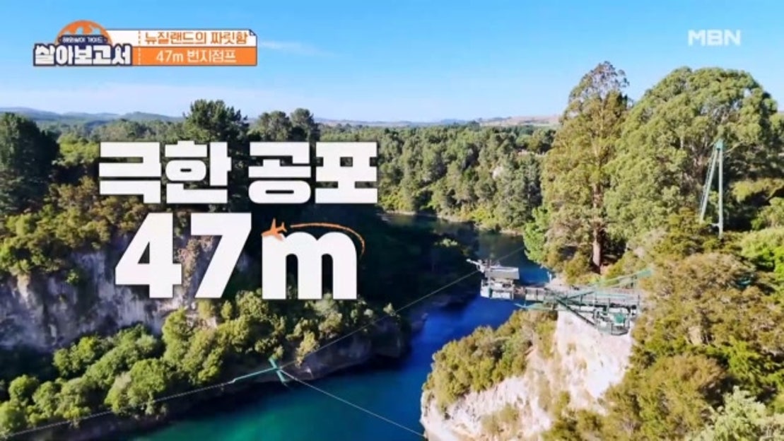 번지점프의 본고장에서 액티비티 즐기기 MBN 250409 방송 - 네이버 TV