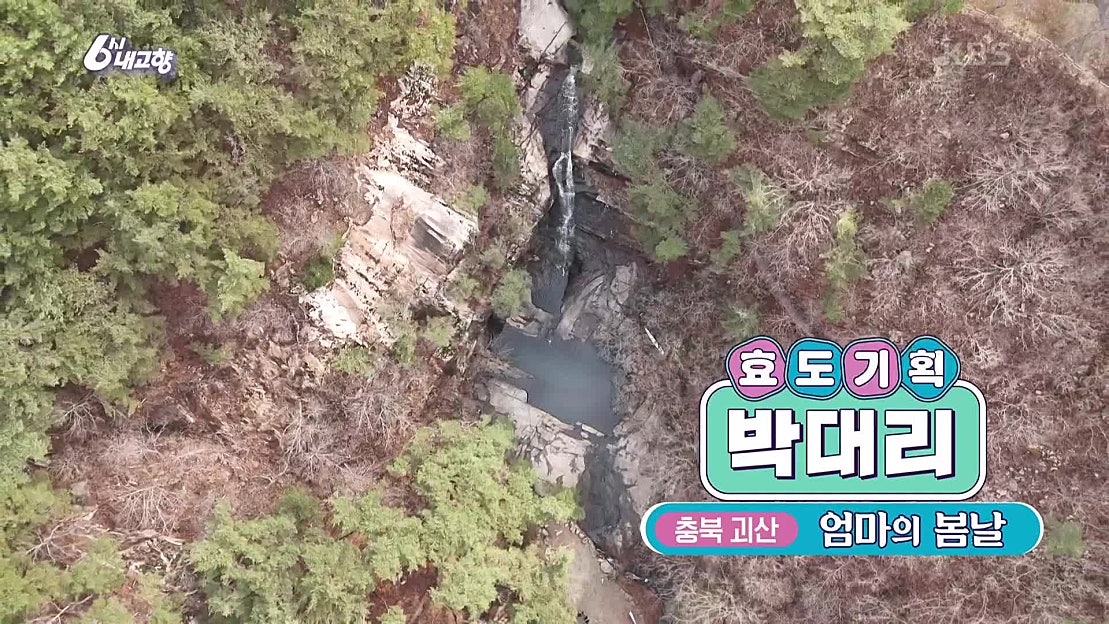 [효도기획 박대리] 엄마의 봄날 | KBS 250411 방송 - 네이버 TV