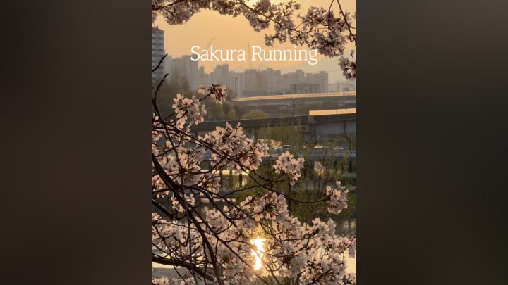 Sakura Running - 네이버 TV