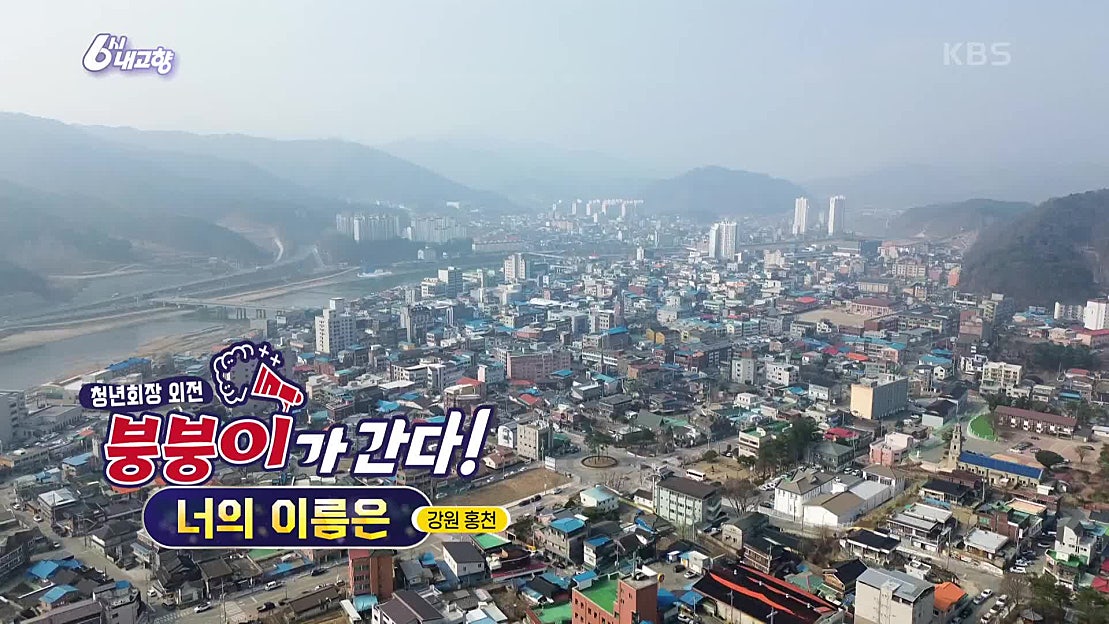 [붕붕이가 간다!] 너의 이름은 | KBS 250414 방송 - 네이버 TV