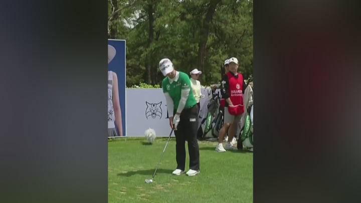 [AI클립] 2R 파3 2번홀 박지영 티샷 (크리스에프앤씨 제47회 KLPGA 챔피언십) - 네이버 TV