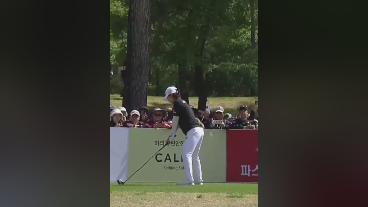 [AI클립] 4R 파5 15번홀 박지영 티샷 (크리스에프앤씨 제47회 KLPGA 챔피언십) - 네이버 TV