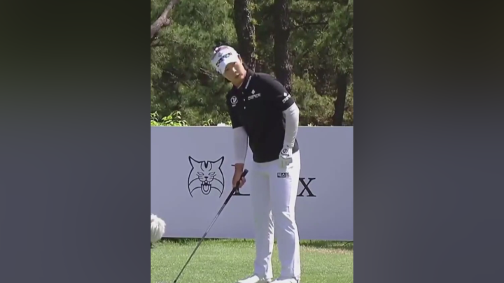 [AI클립] 4R 파3 2번홀 박지영 티샷 (크리스에프앤씨 제47회 KLPGA 챔피언십) - 네이버 TV