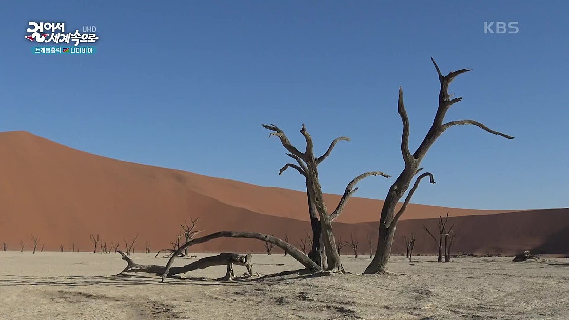 붉은 사구에 둘러싸여 말라버린 호수, 데드플라이 | KBS 250514 방송 - 네이버 TV