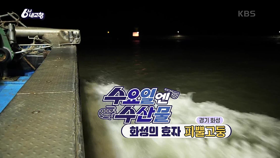 [수요일엔 수산물] 화성의 효자 피뿔고둥 | KBS 250521 방송 - 네이버 TV