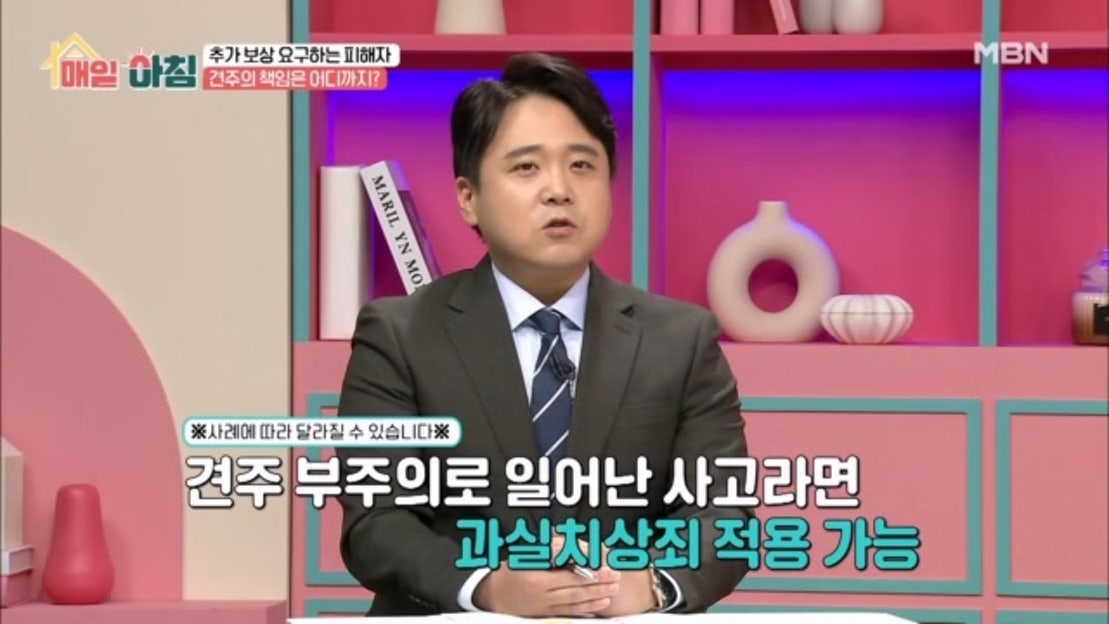 추가 보상 요구히는 피해자 견주의 책임은 어디까지? MBN 250610 방송 - 네이버 TV