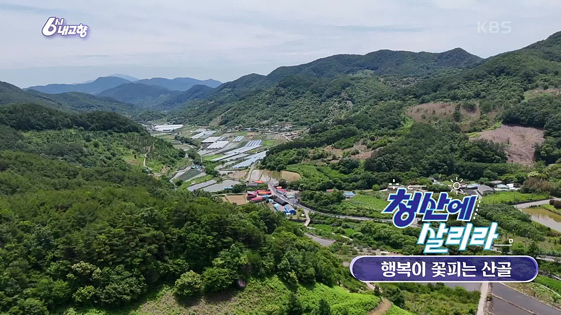 [청산에 살리라] 행복이 꽃피는 산골 | KBS 250612 방송 - 네이버 TV