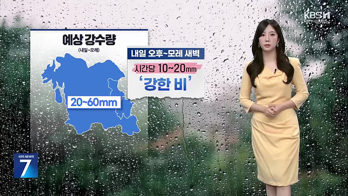 [날씨] 대전·세종·충남 내일 낮부터 다시 장맛비…더위 한풀 꺾여 - 네이버 TV