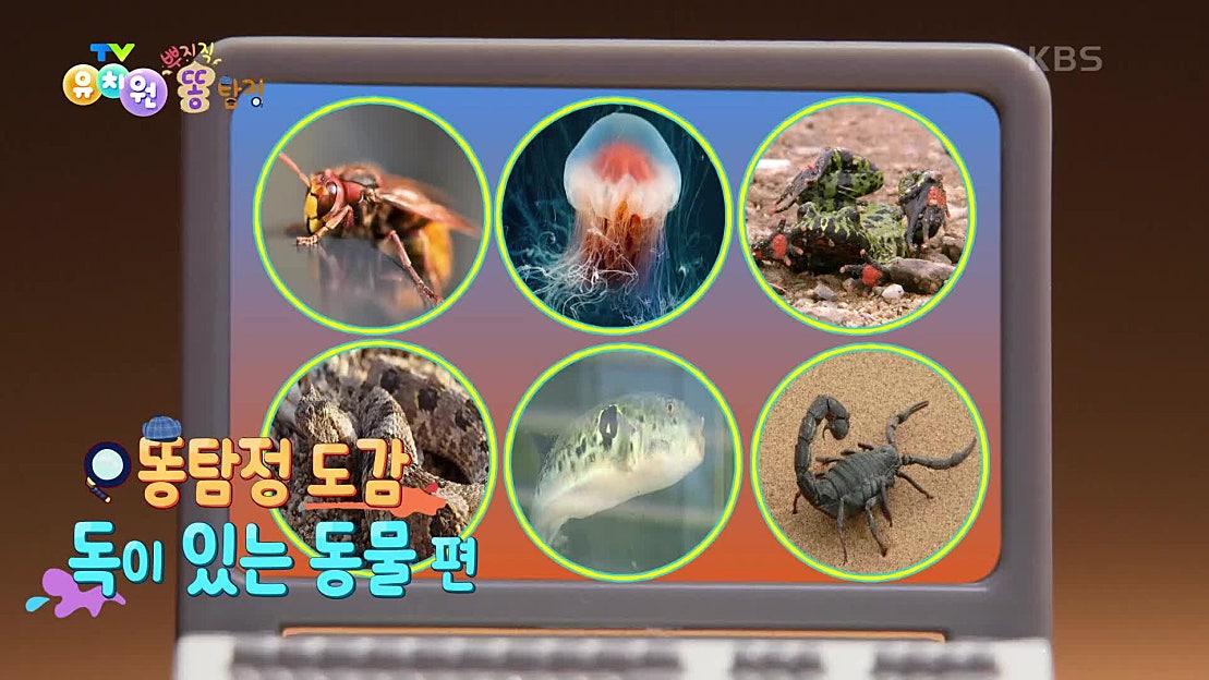 [뿌지직 똥 탐정] 똥탐정 도감 ＜독이 있는 동물＞편🧐 | KBS 250626 방송 - 네이버 TV