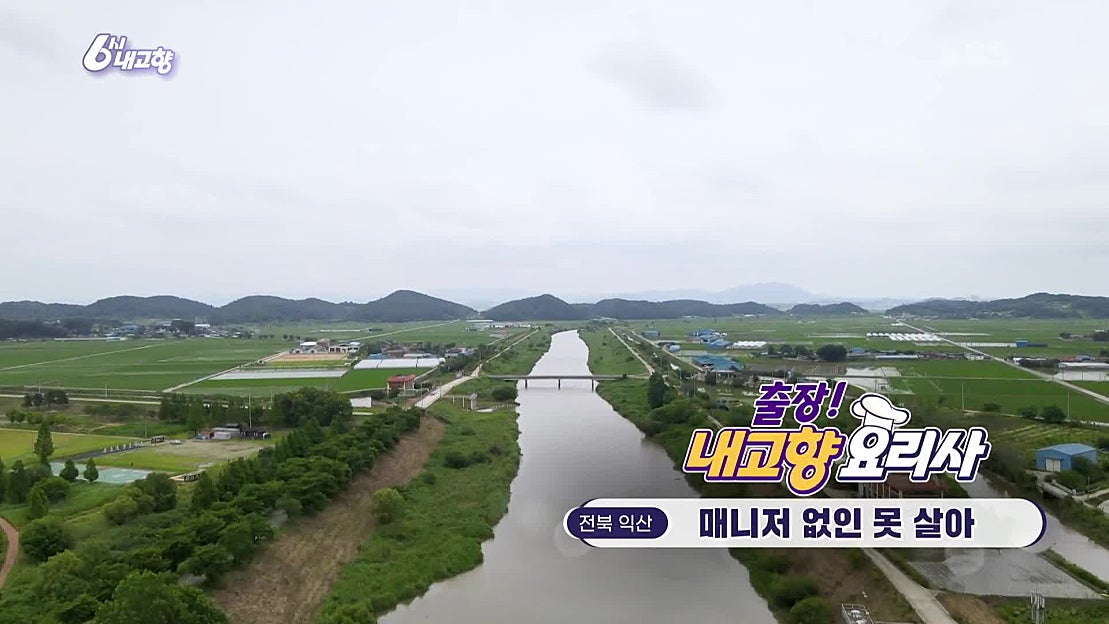 [출장! 내고향 요리사] 매니저 없인 못 살아 | KBS 250630 방송 - 네이버 TV