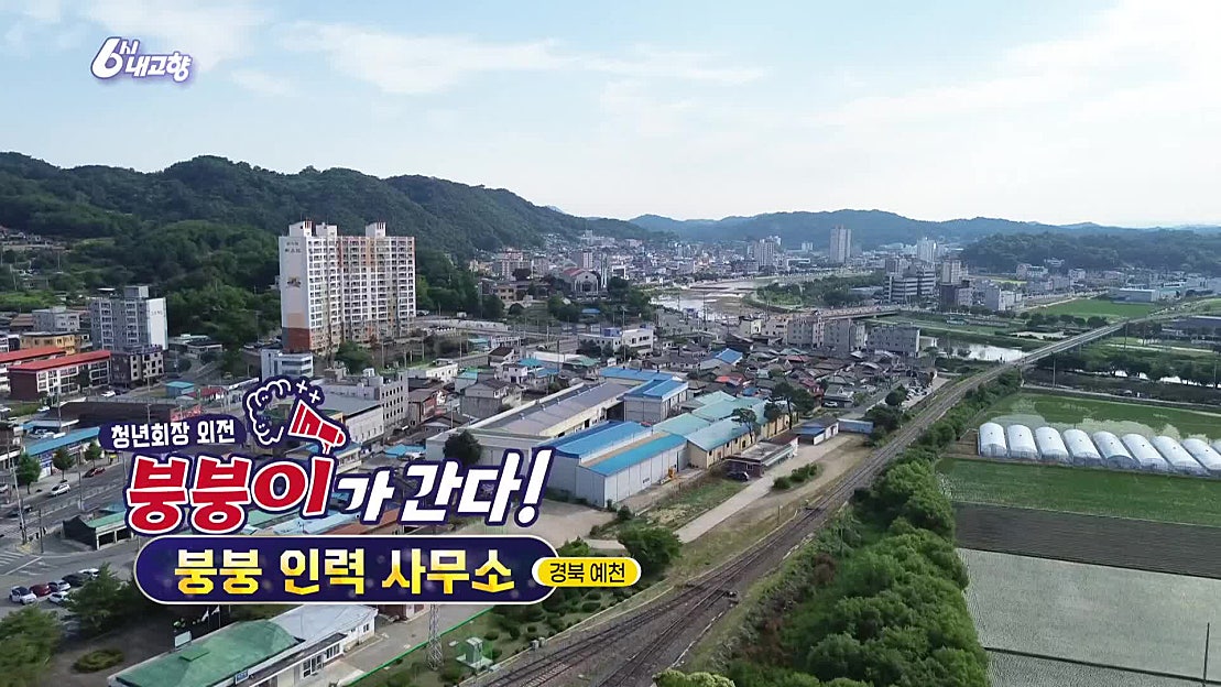 [붕붕이가 간다!] 붕붕 인력 사무소 | KBS 250630 방송 - 네이버 TV