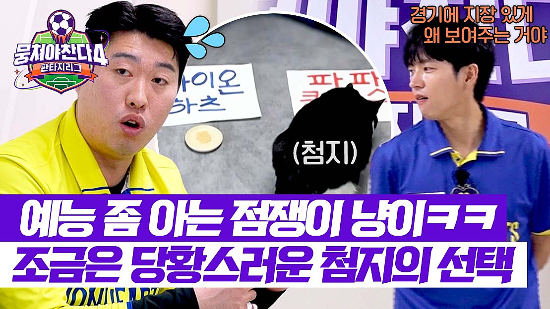 승부 예측하는 냥이 실존🤩 첨지가 선택한 오늘의 우승 팀은!? | JTBC 250706 방송 - 네이버 TV