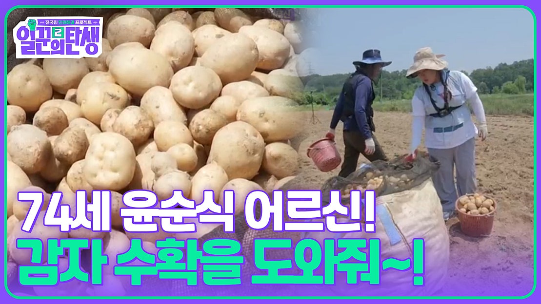 74세 윤순식 어르신! 감자 수확을 도와줘~! | KBS 250709 방송 - 네이버 TV