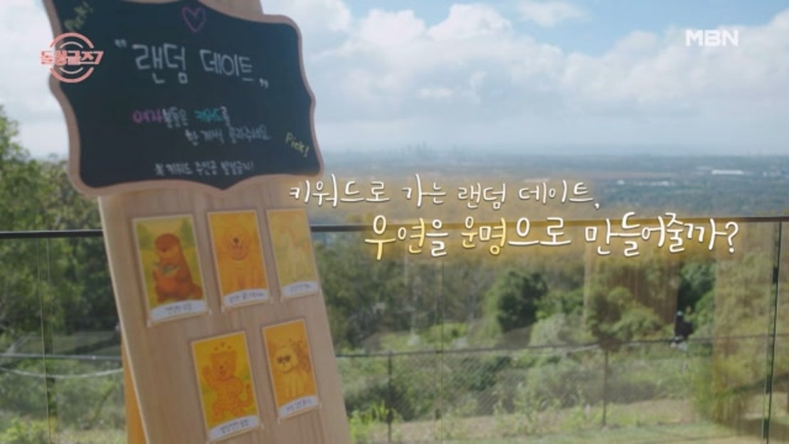 돌싱글즈 사상 최초 키워드 데이트!! (feat. 왈왈멍멍냐옹) MBN 250727 방송 - 네이버 TV