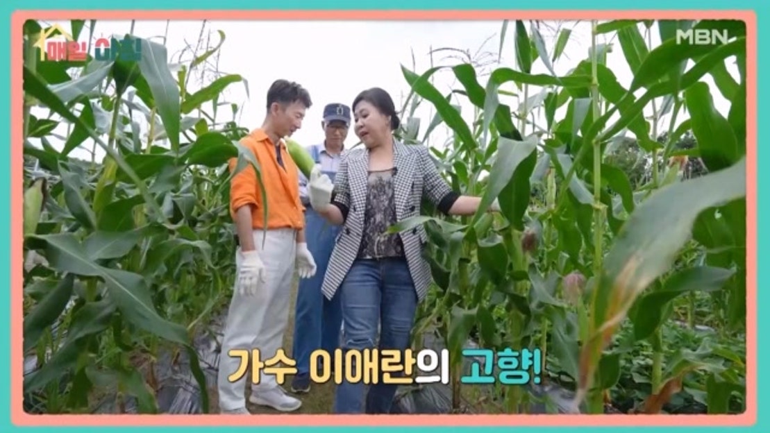 매일아침 [65회] MBN 250804 방송 - 네이버 TV