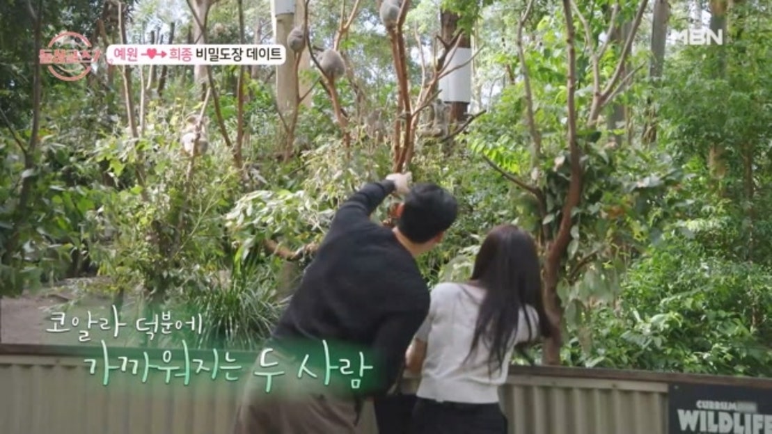 호주 대표 귀요미 코알라와 함께하는 심쿵 데이트 MBN 250810 방송 - 네이버 TV